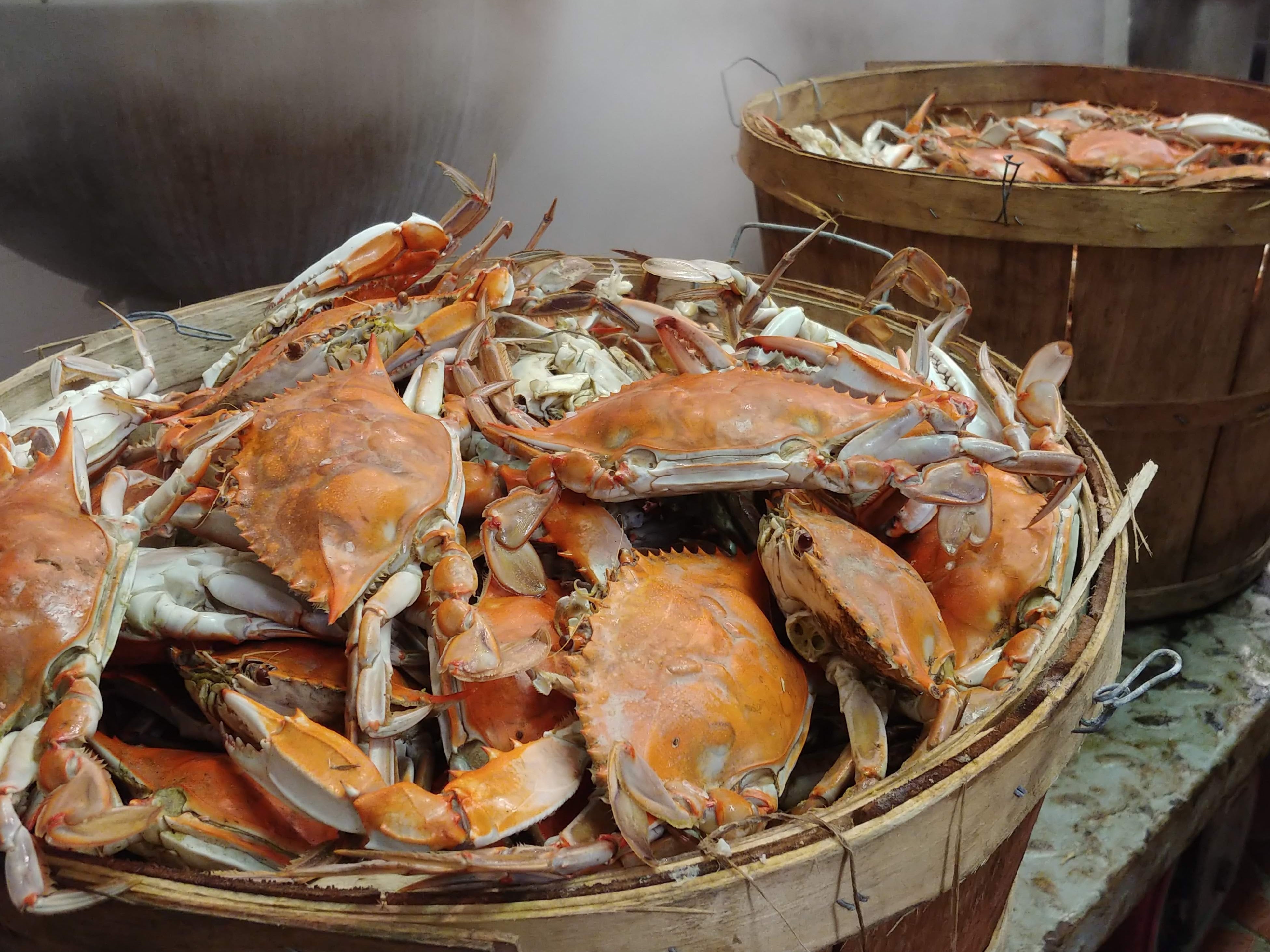 Steamed Blue Crabs And Shrimp