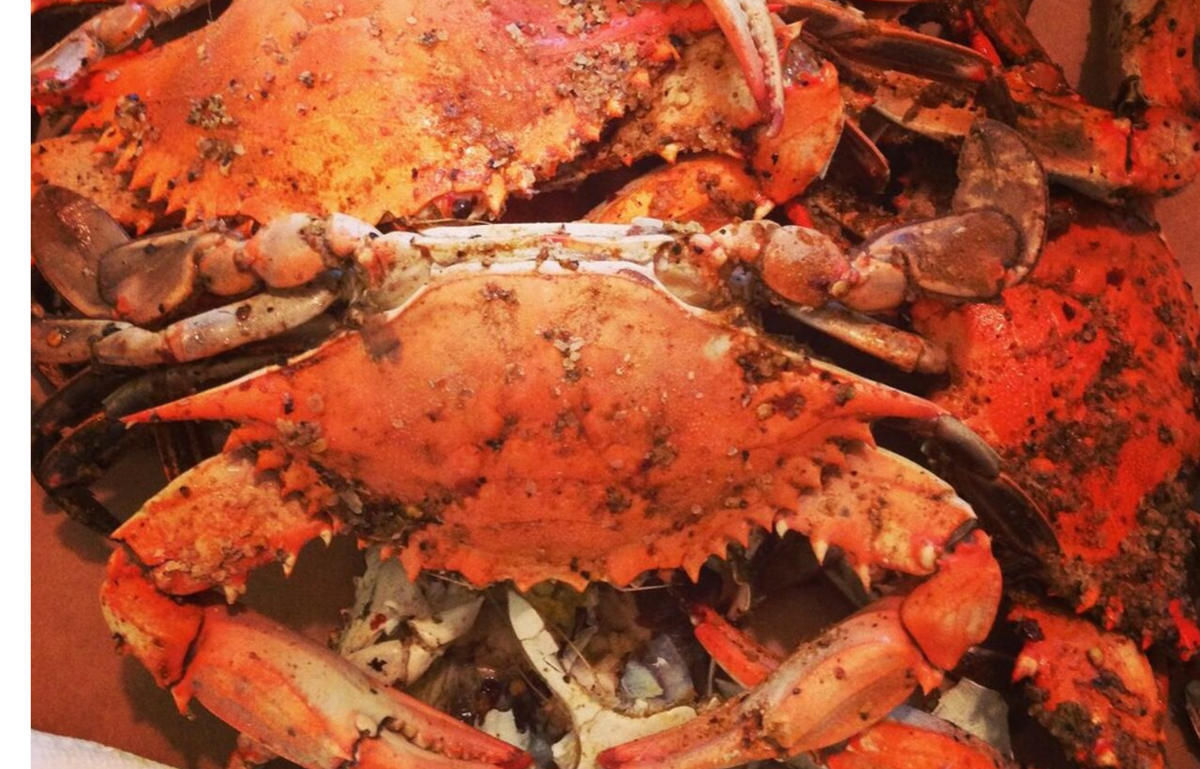 Cooked Blue King Crab