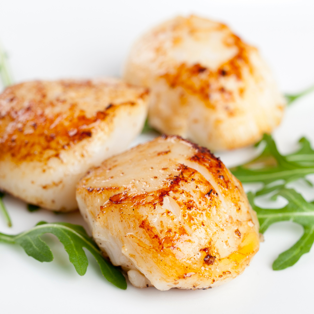 Scallops In Ocean